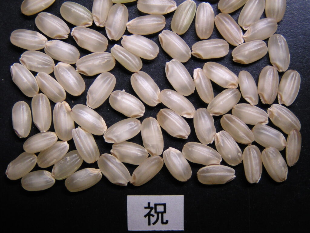 Sake special: The history of Kyoto sake - The Drinks Business