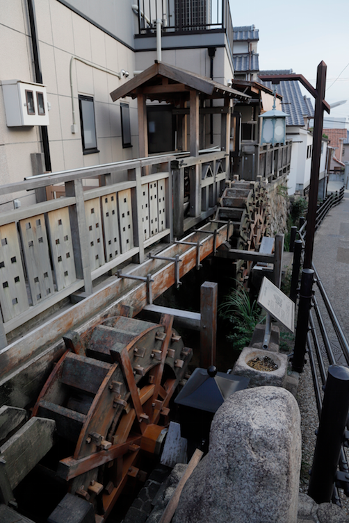 Sustainable Sake: Fukuju’s winning combination - The Drinks Business