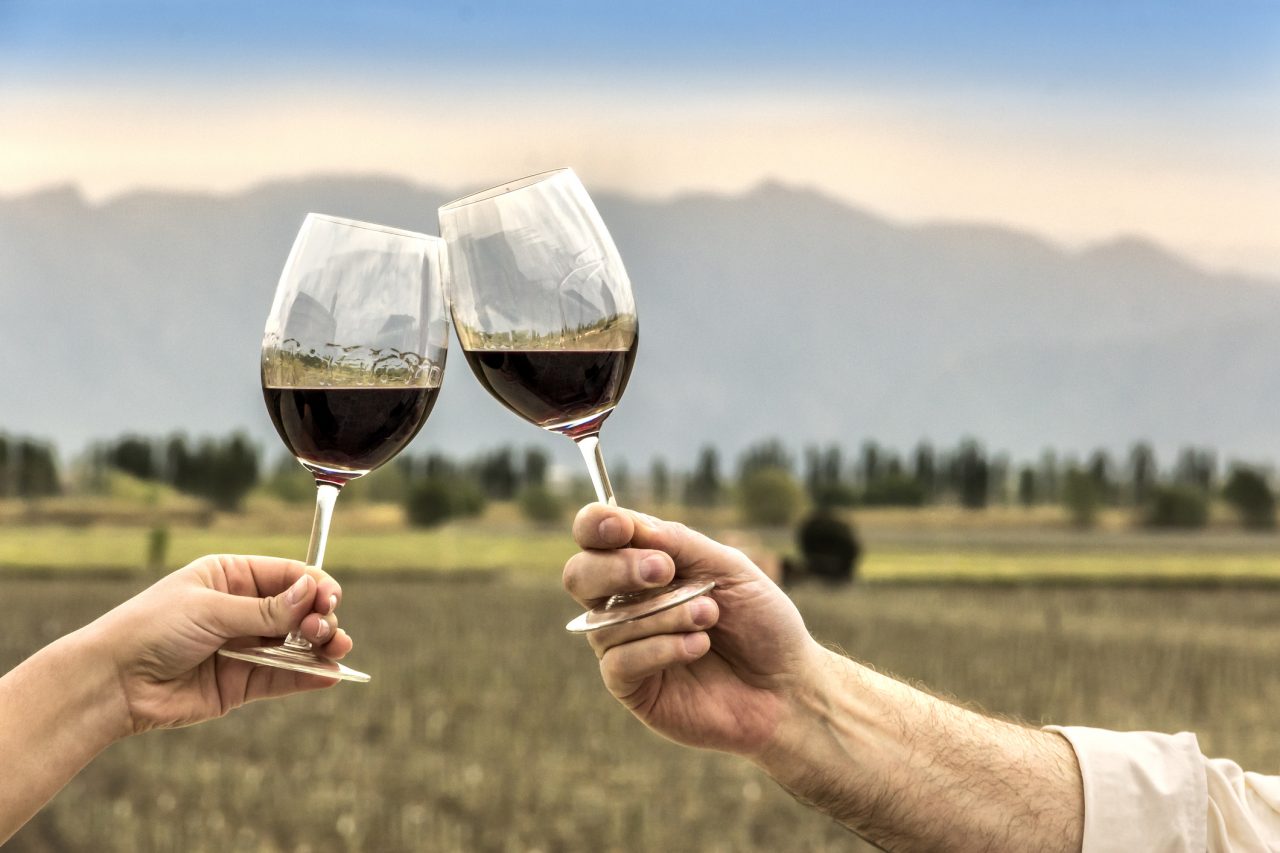 Top 10 Malbec facts to celebrate Malbec World Day