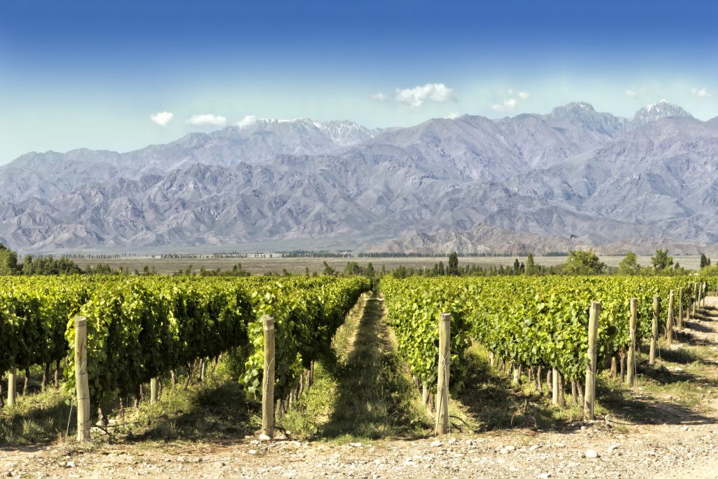 Top 10 Malbec facts to celebrate Malbec World Day