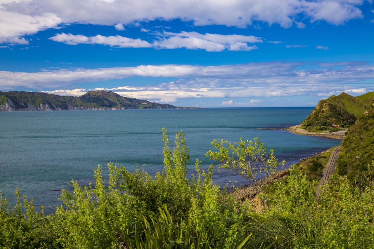 Top 10 Malbec facts to celebrate Malbec World Day