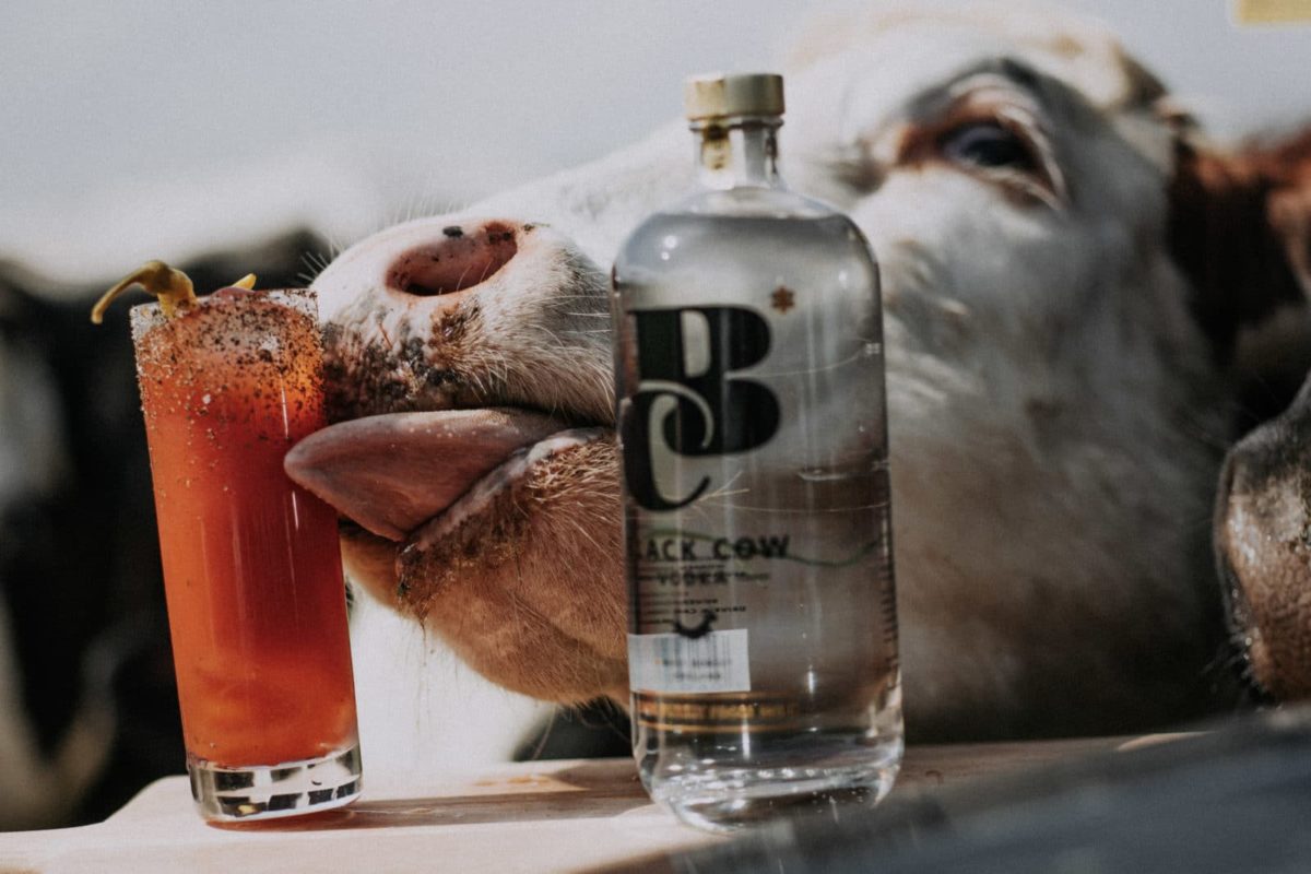 In focus: How eco-conscious drinks brands are creating sustainable sips ...