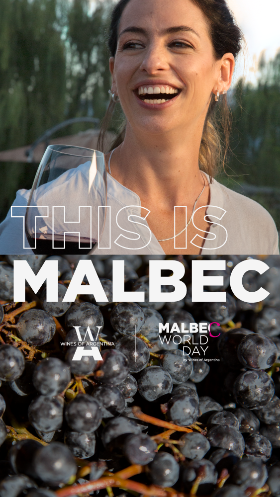 Malbec World Day celebrated online for first time - The Drinks Business