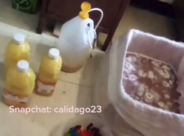 Inmate reveals how prison 'wine' is made using three ingredients