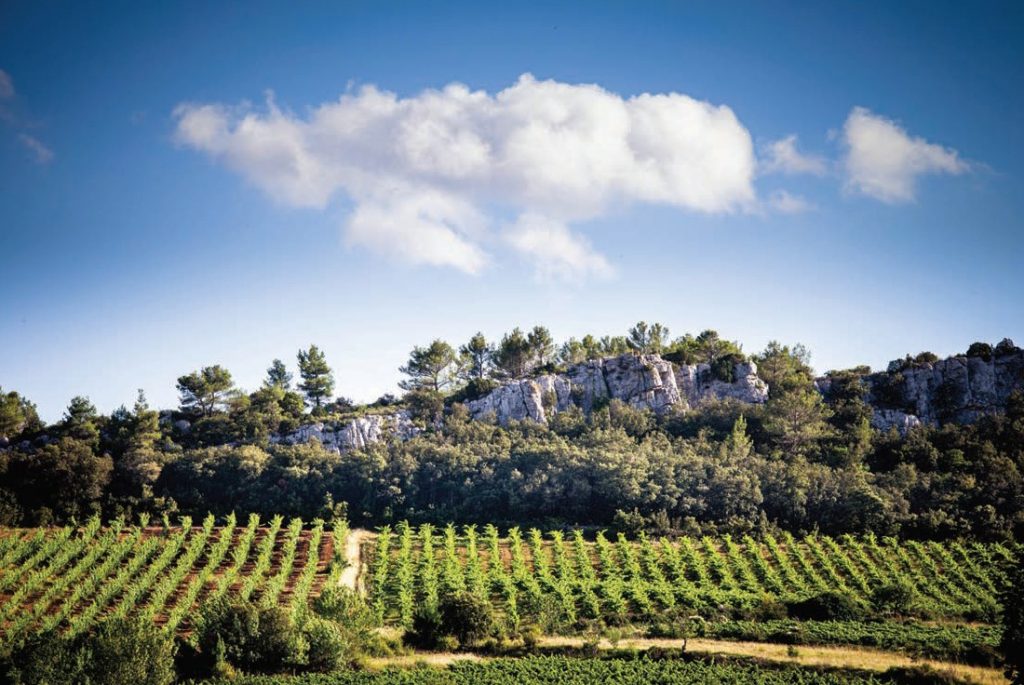 Why the wines of Saint-Chinian are ripe for a rediscovery - The Drinks ...