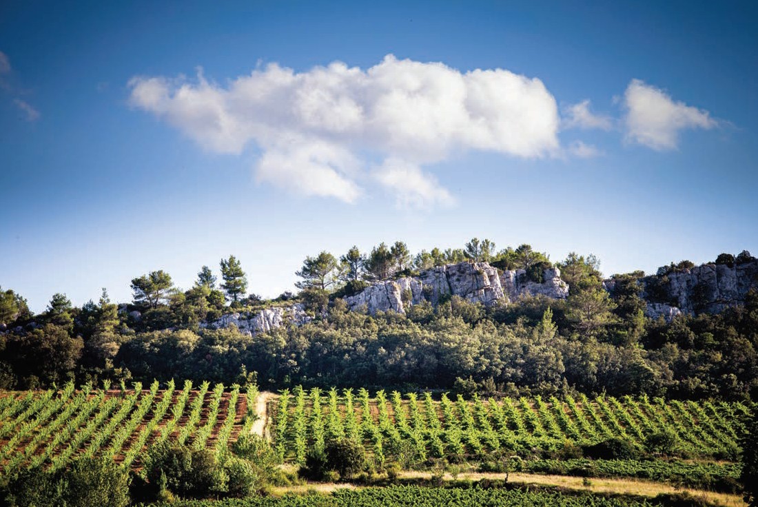 Why the wines of Saint-Chinian are ripe for a rediscovery - The Drinks ...