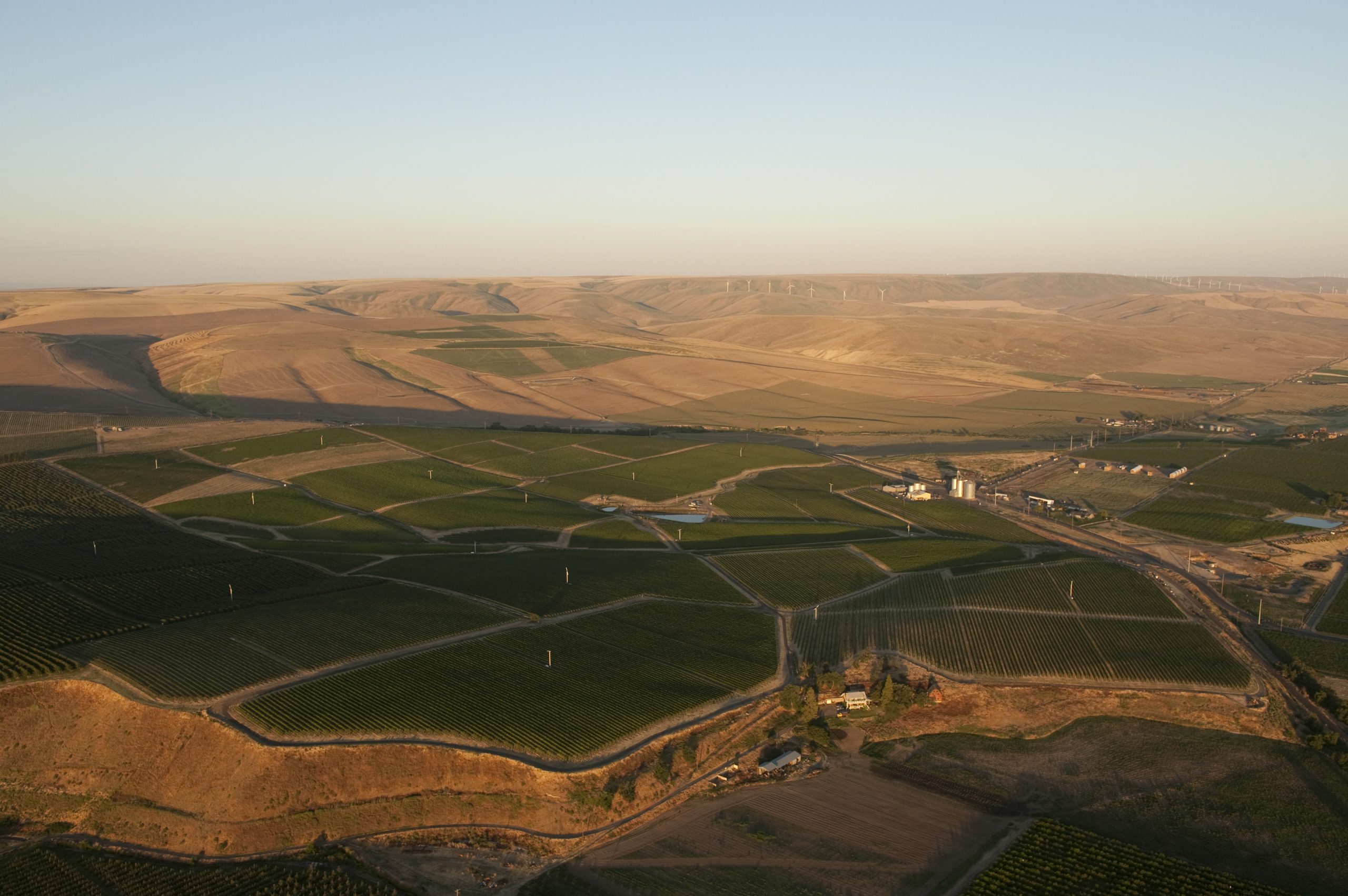 Washington producer Va Piano Vineyards extends holding in Walla Walla