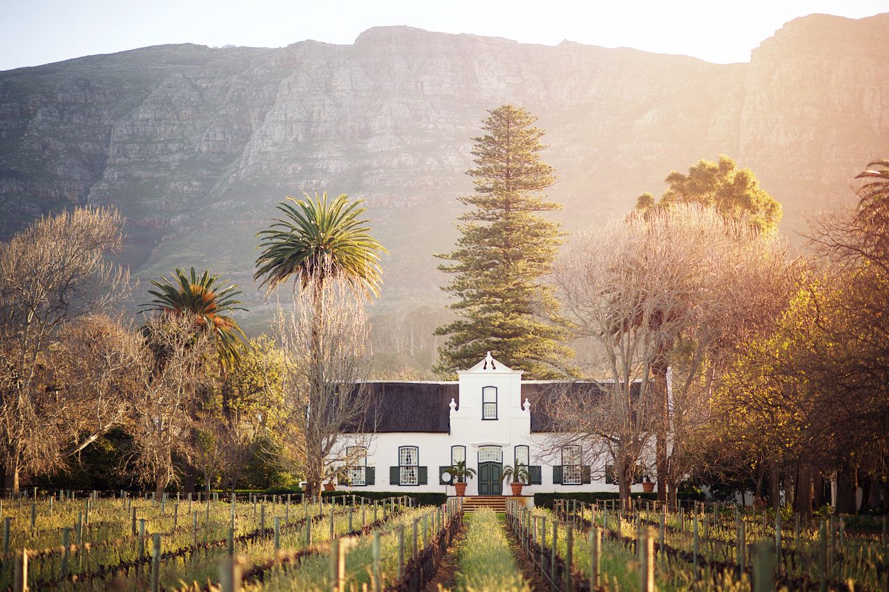 Tim Atkin MW reveals South Africa’s “best red grape”