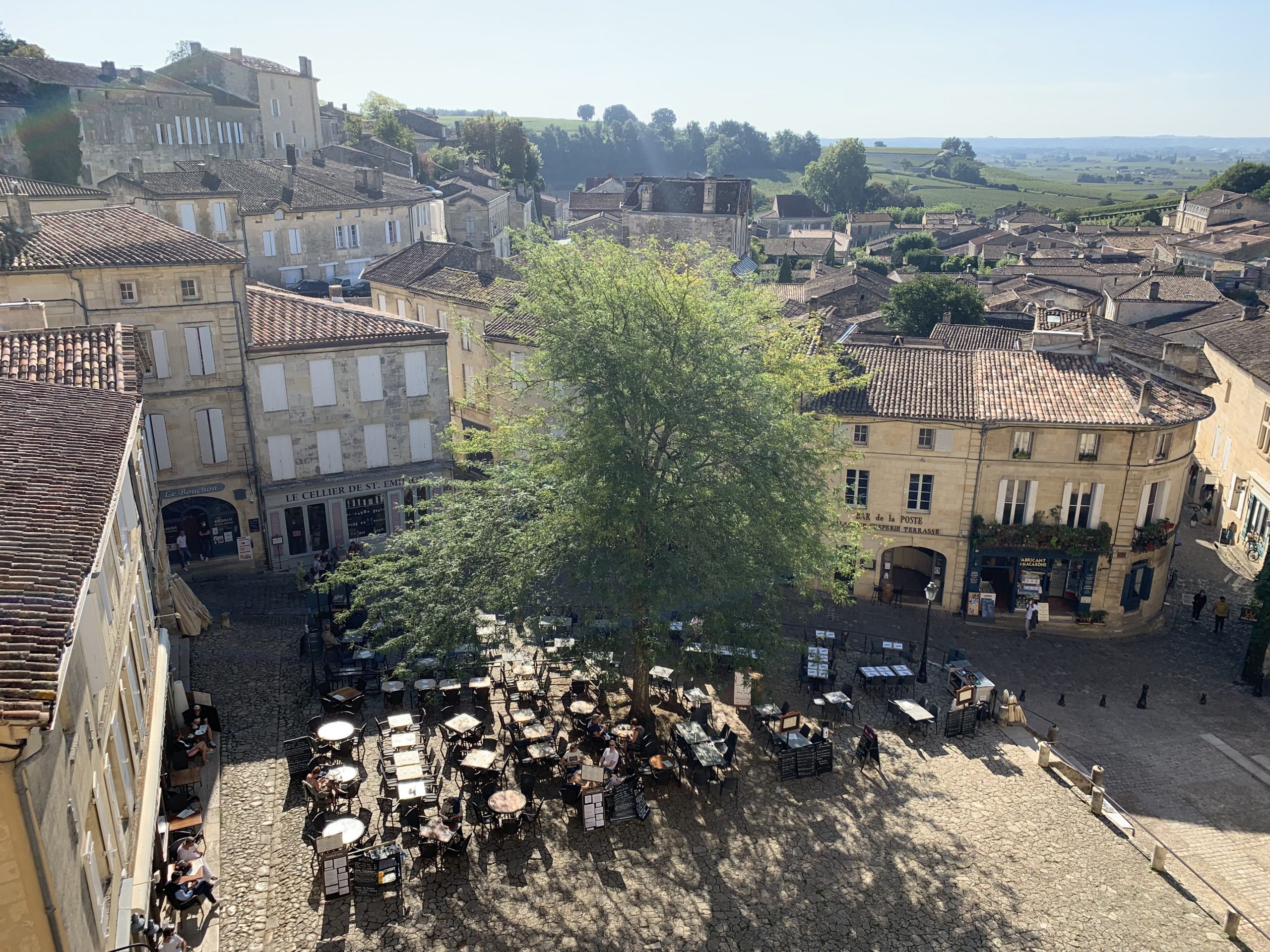 The St Emilion Succession: Series 2