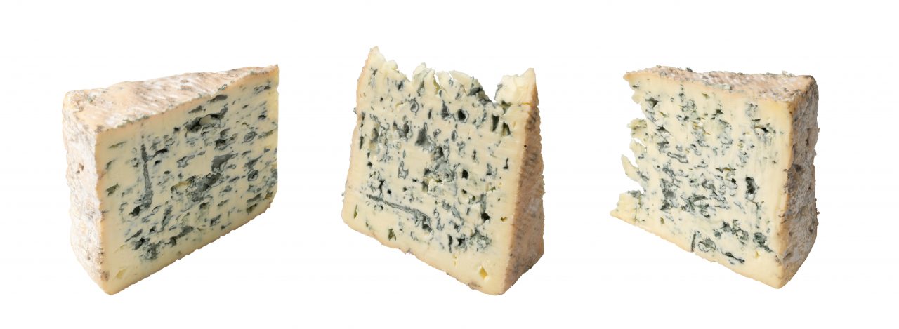 Humans enjoyed beer and cheese 2,700 years ago, ancient faeces shows