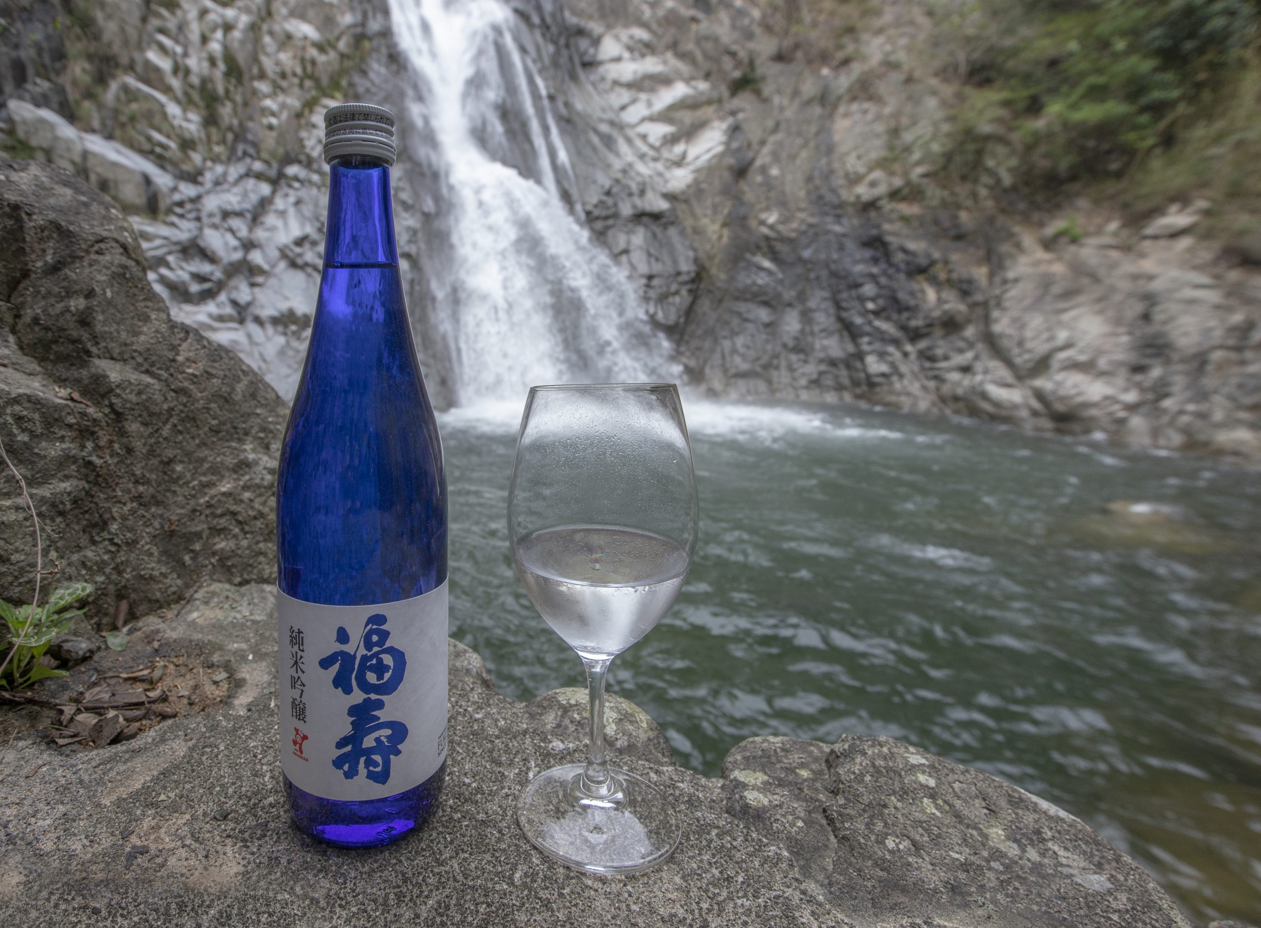 Discover Fukuju's secret to making ultra premium sake