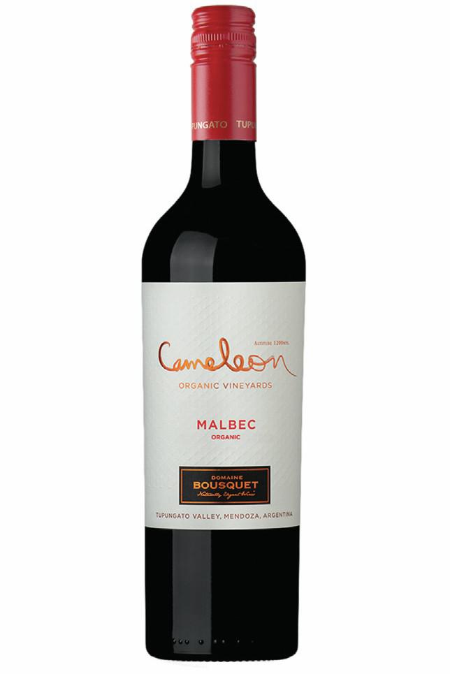 The best Malbecs of 2021