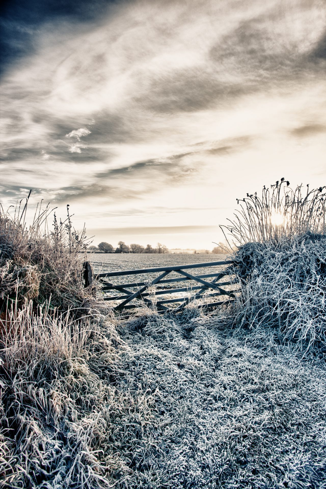 Table Talk: Jeremy Chan - The Drinks Business