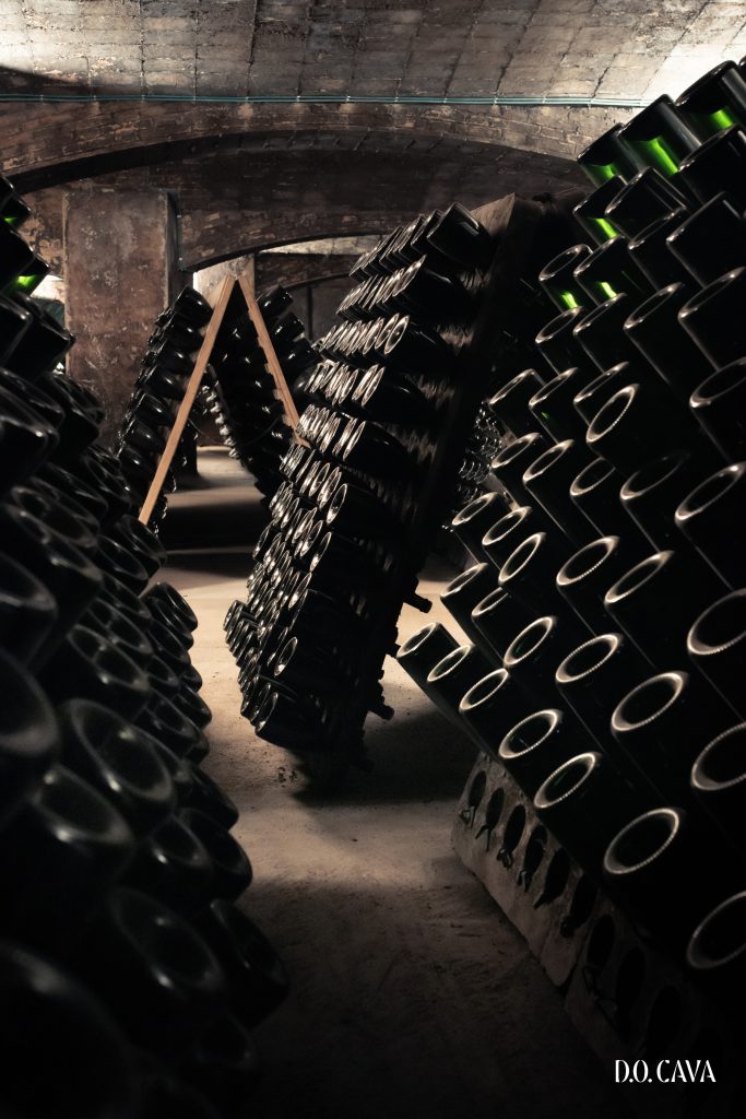 Cava DO reports all-time sales record in 2021