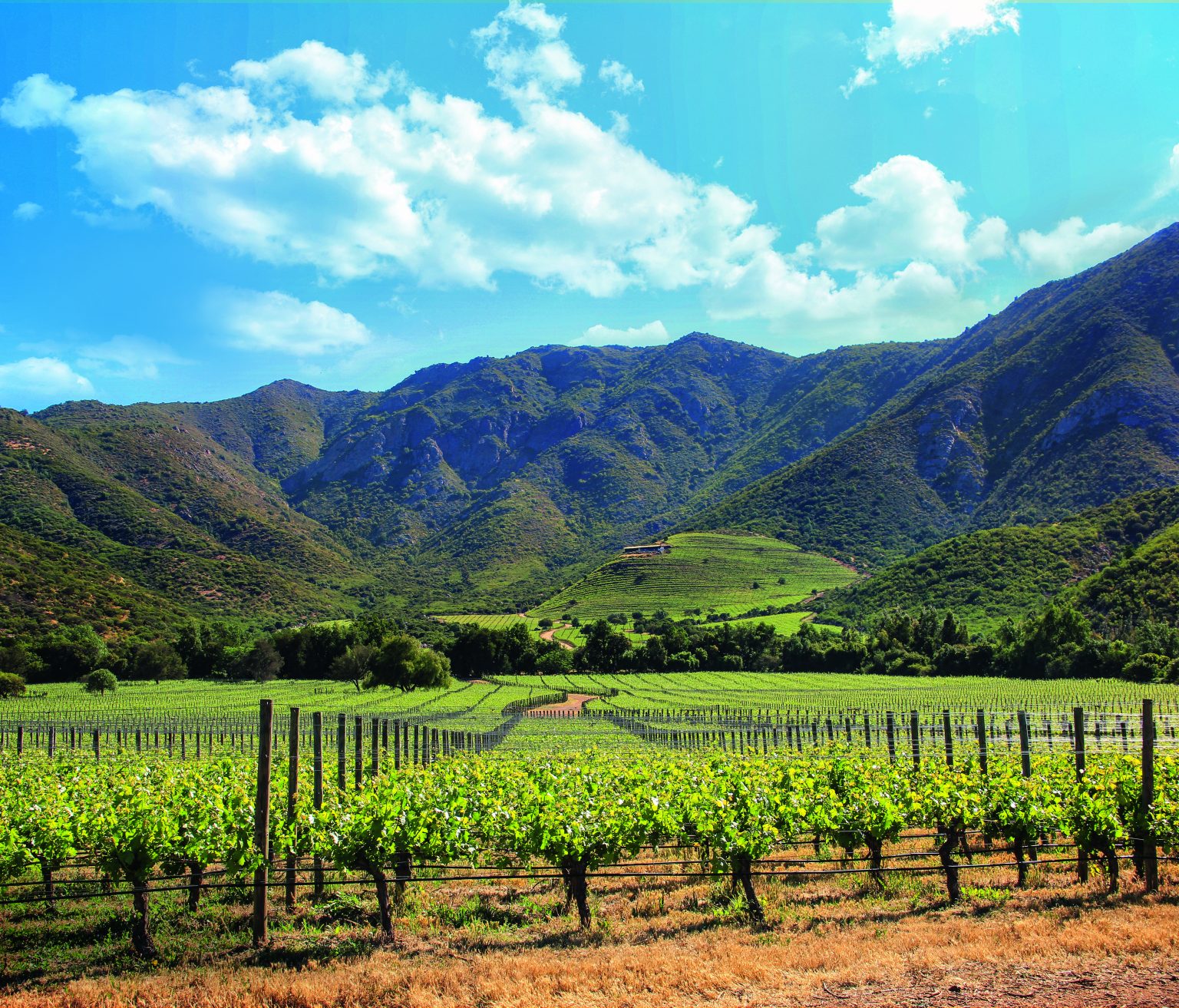 Coming of age: how Seña proved that Chilean fine wine gets better with ...