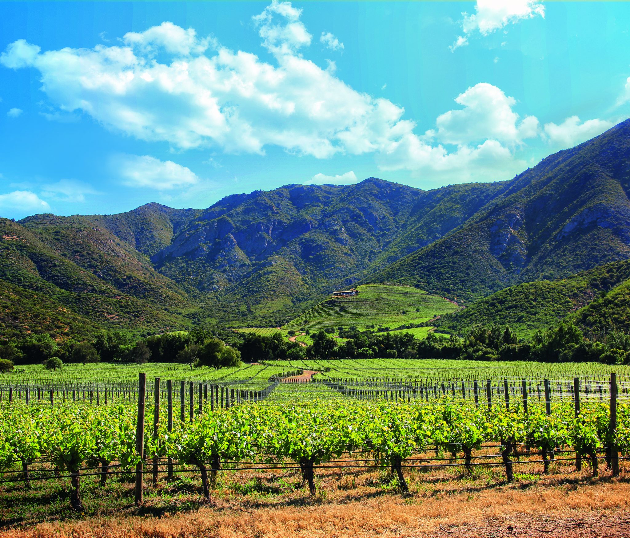 Coming of age: how Seña proved that Chilean fine wine gets better with ...