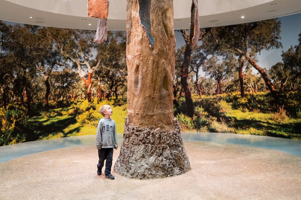 How Porto has become the destination for wine loving tourists - The ...