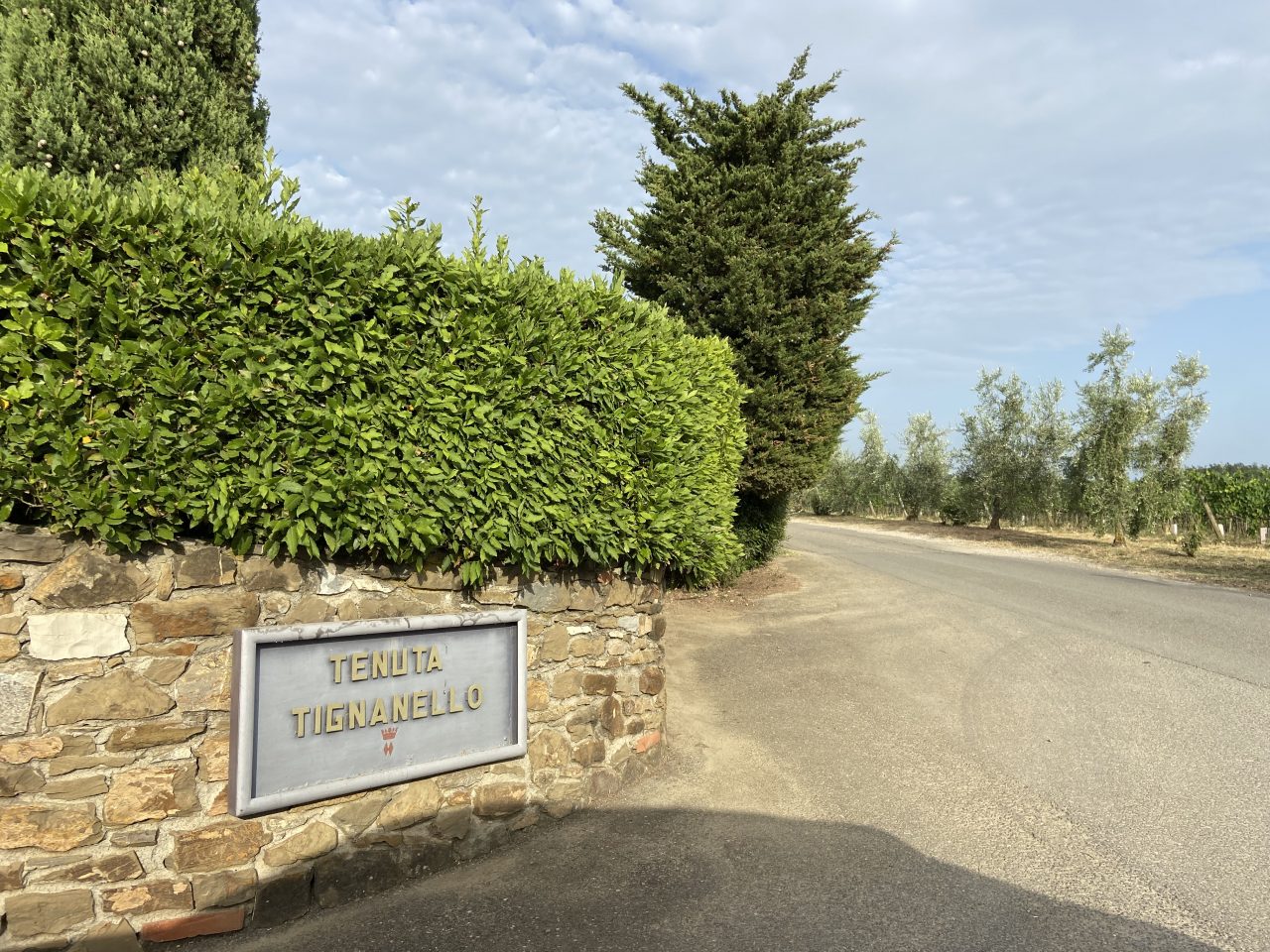 Tignanello: a Tuscan Rebel