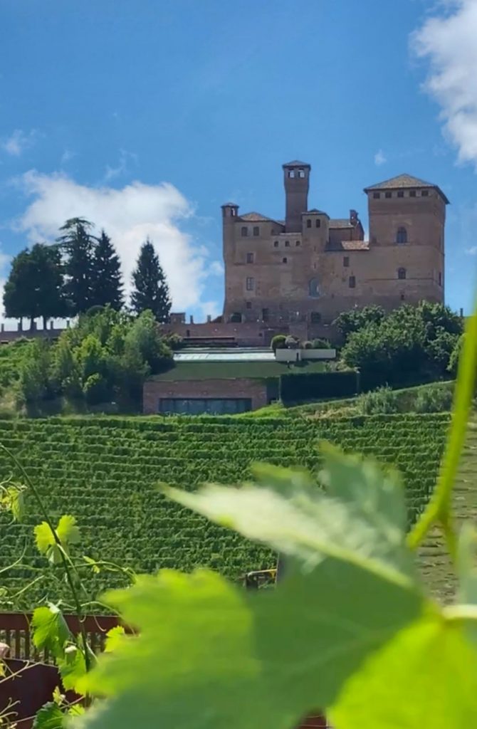 Barolo en primeur: first impressions