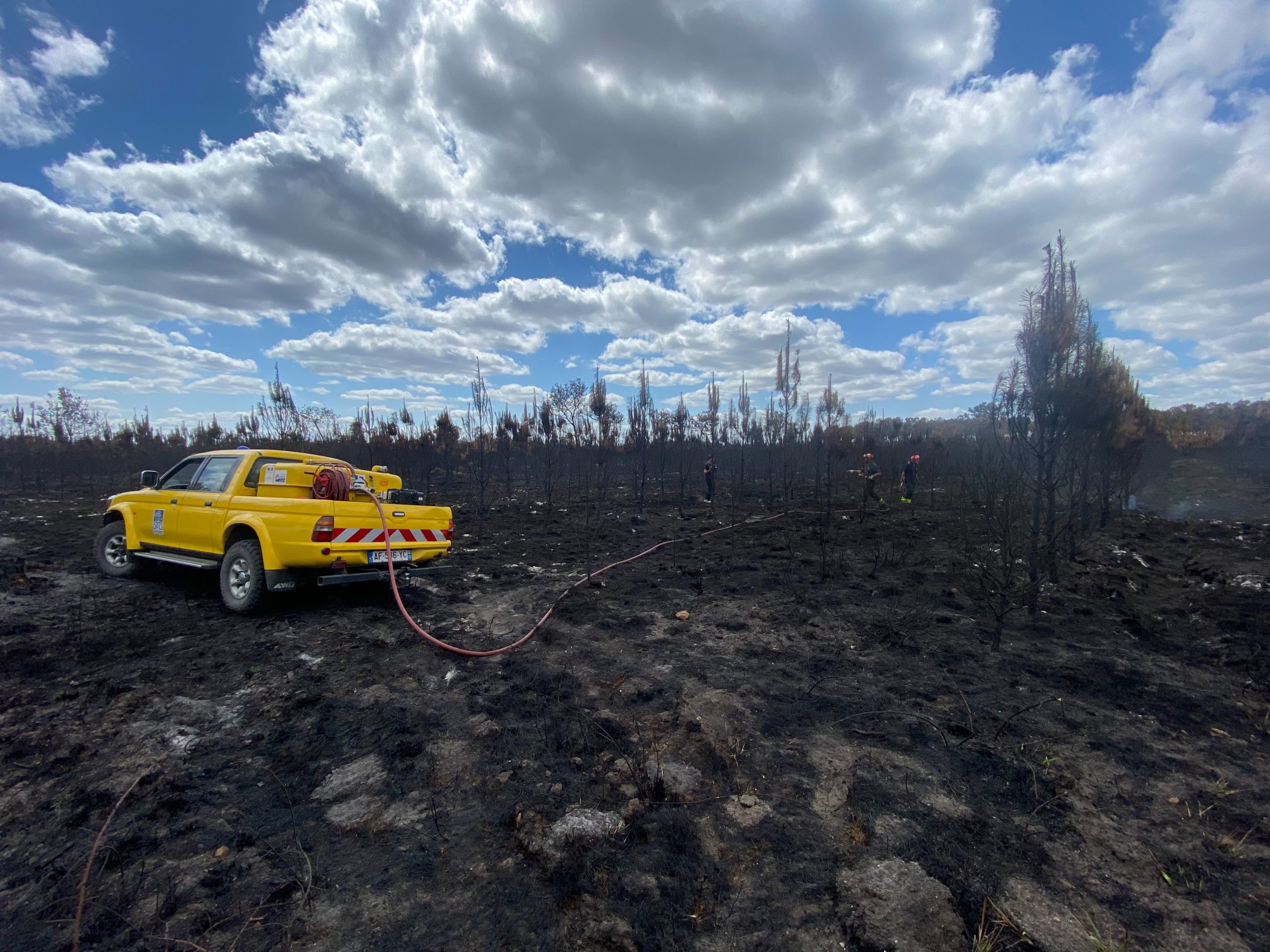 Bordeaux firefighters thanked with wine and rugby tickets