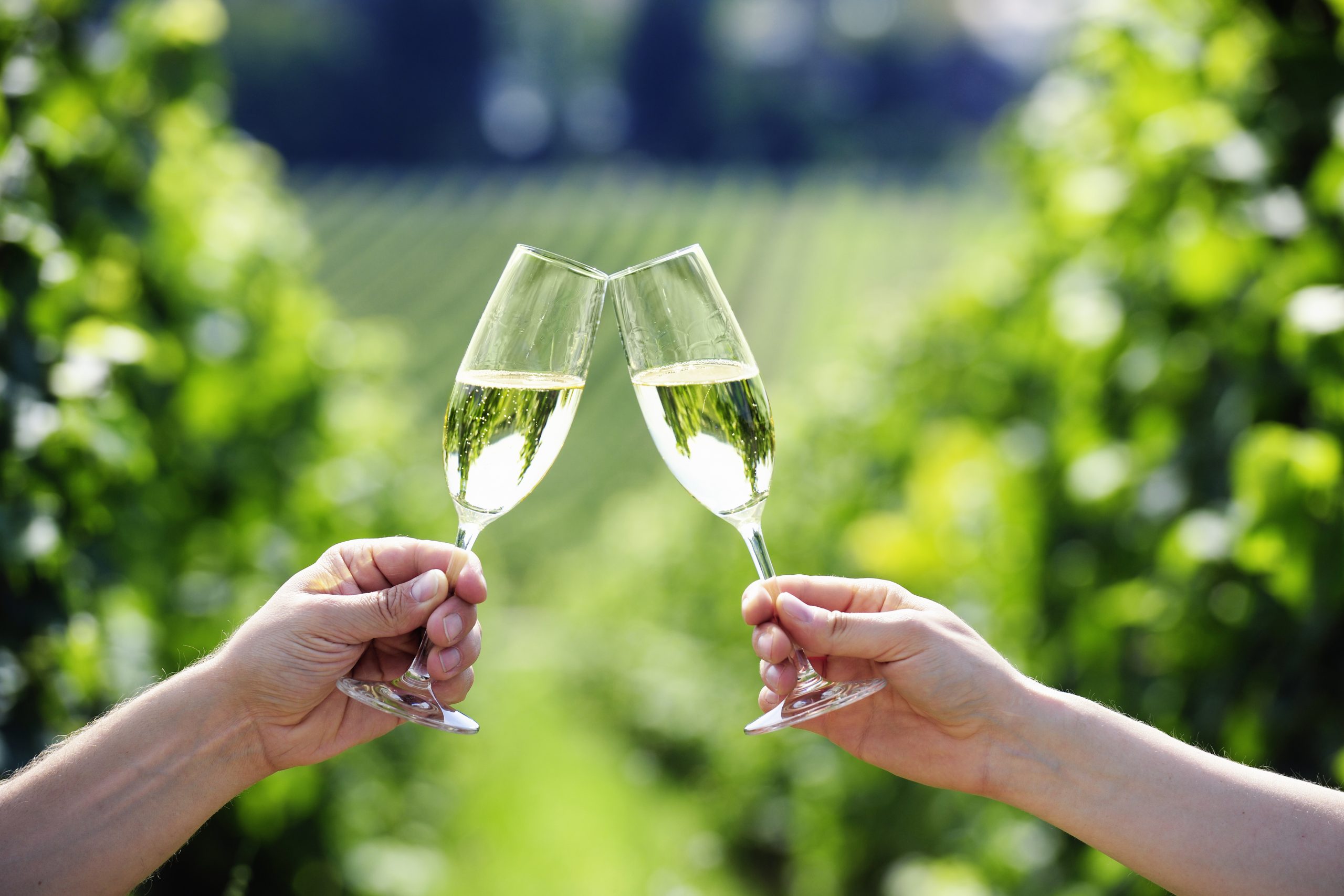 A decade in Champagne: rating every vintage 2011-2021 - The Drinks Business
