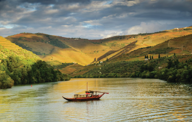 Portugese still wines and Port post-pandemic revival driven by innovation