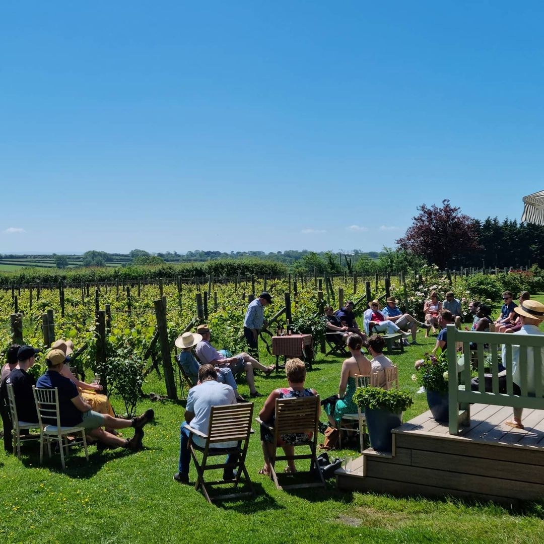 10 of the best UK vineyard stays