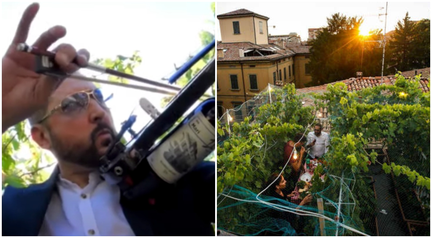 'World's smallest vineyard' sells wine at US$5,000 a bottle