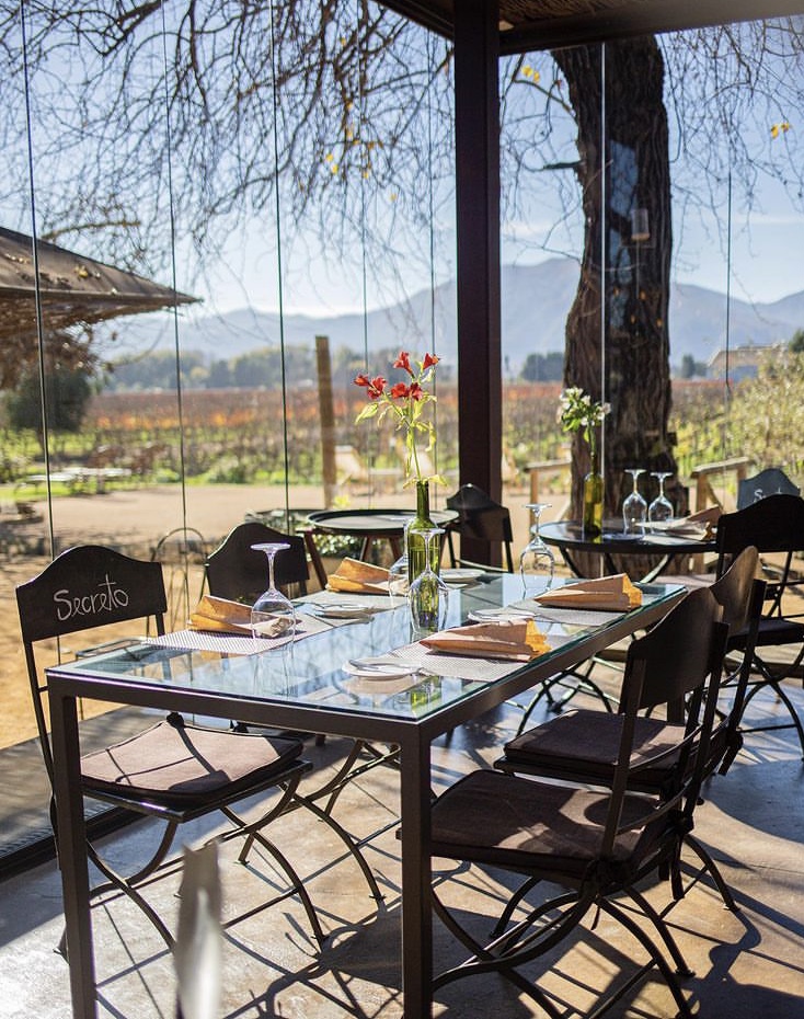 6 best wine tourism experiences in Chile
