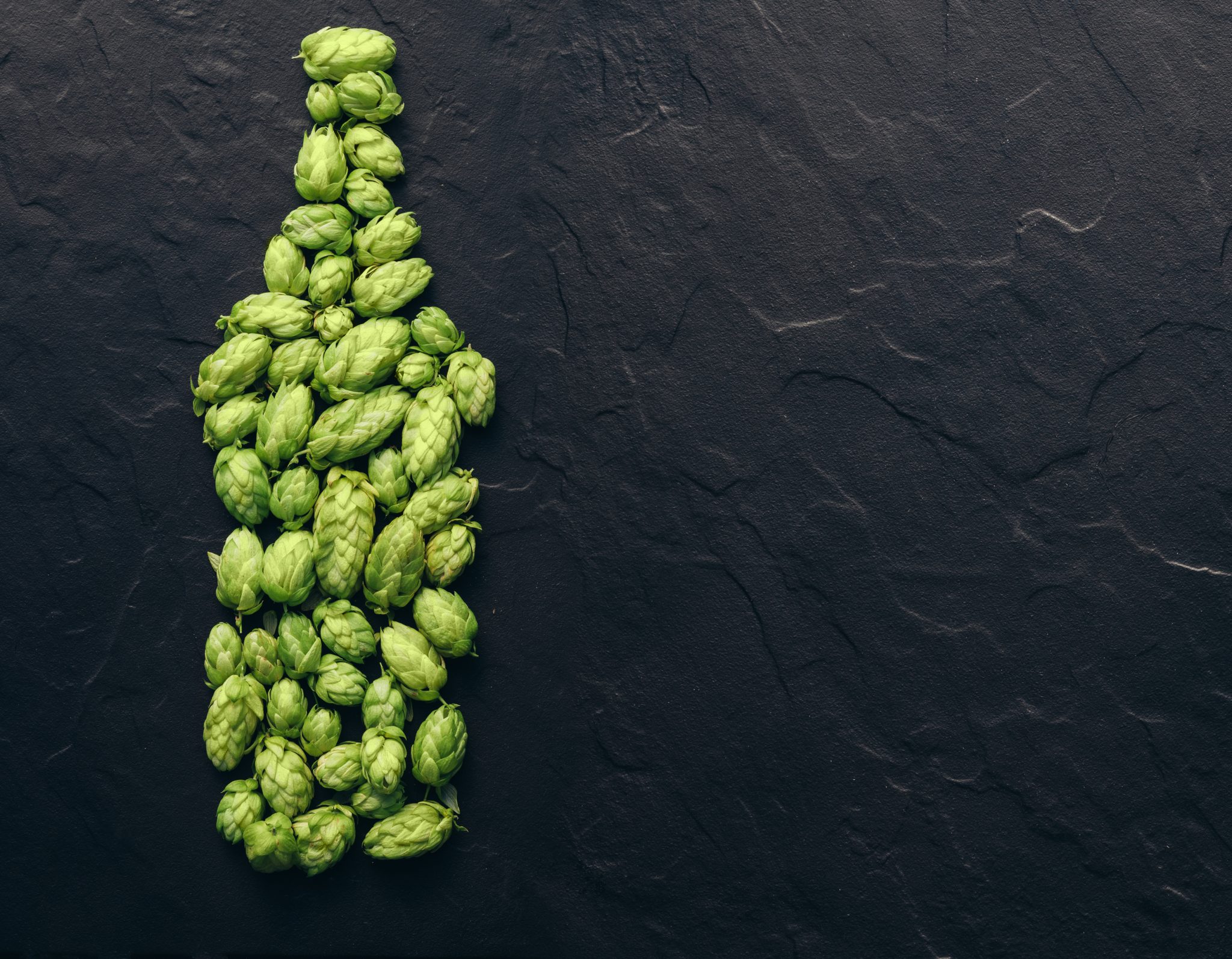 Poor hop harvests anticipated in Europe