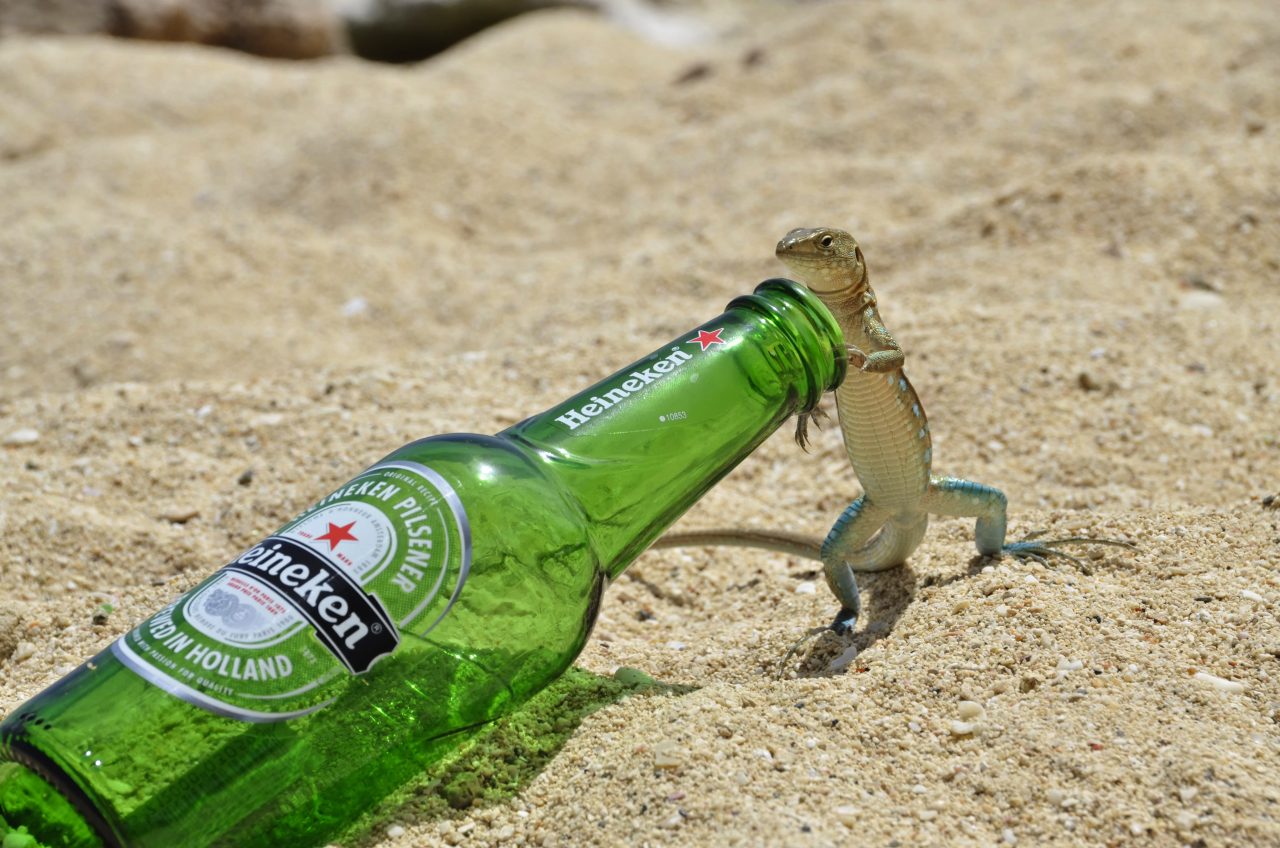 10 grisly drinks horror stories