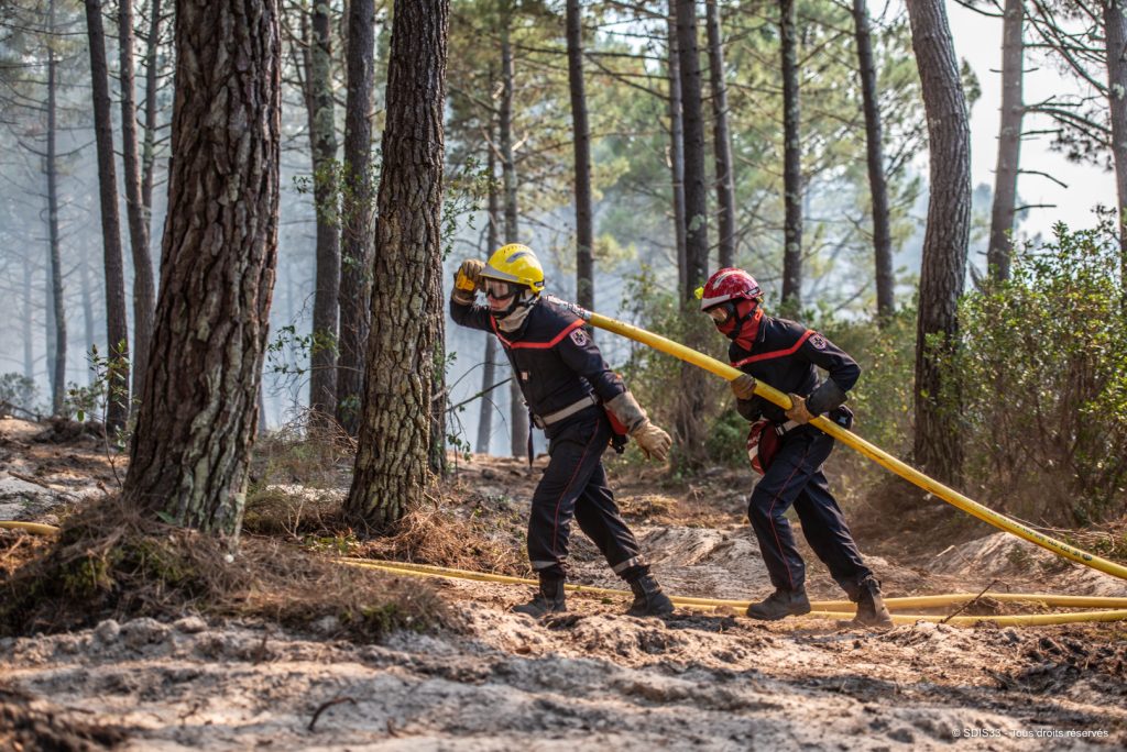 Château Mouton Rothschild 2020 Sotheby's 'super-lot' to benefit ...