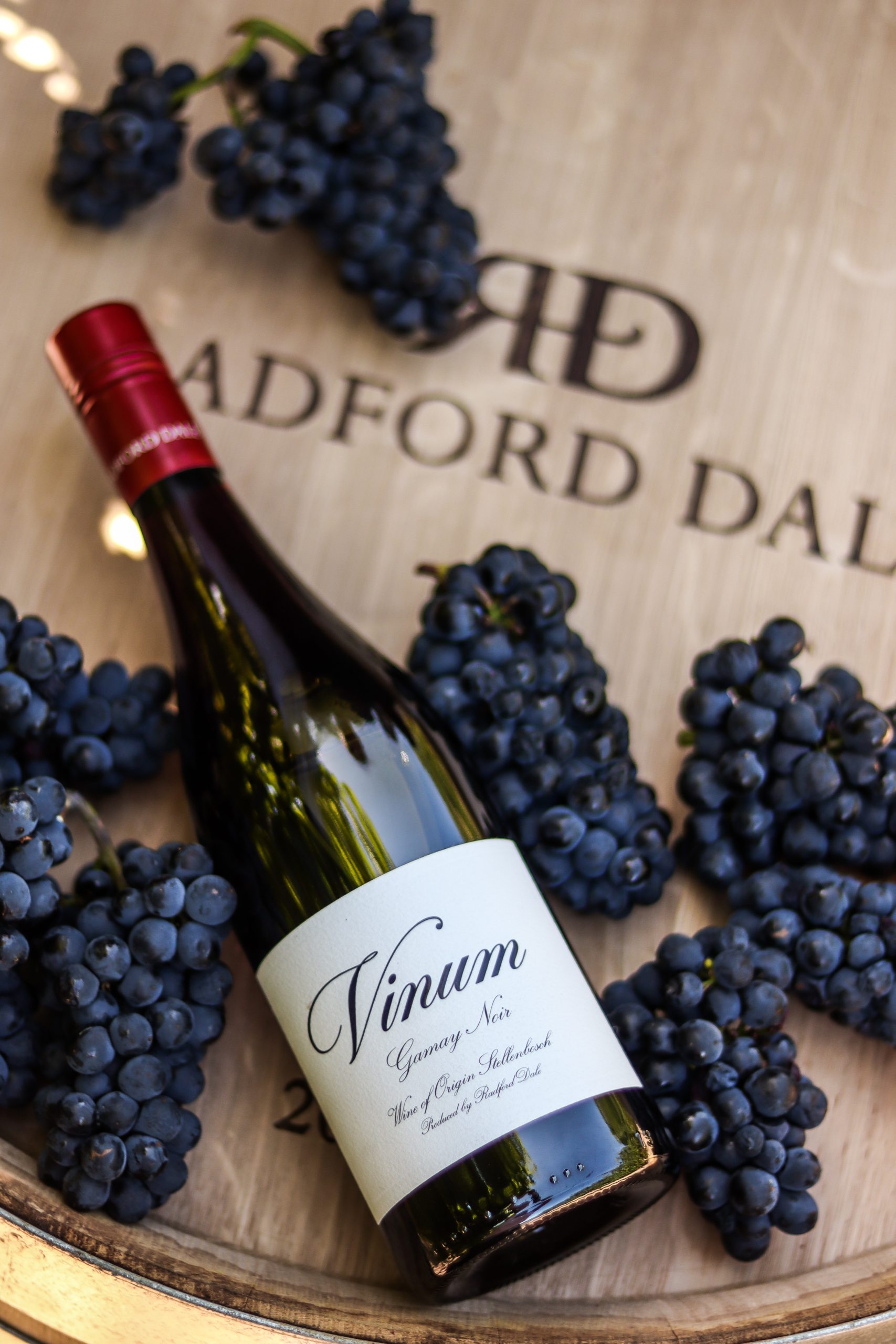 does-south-african-gamay-have-a-future