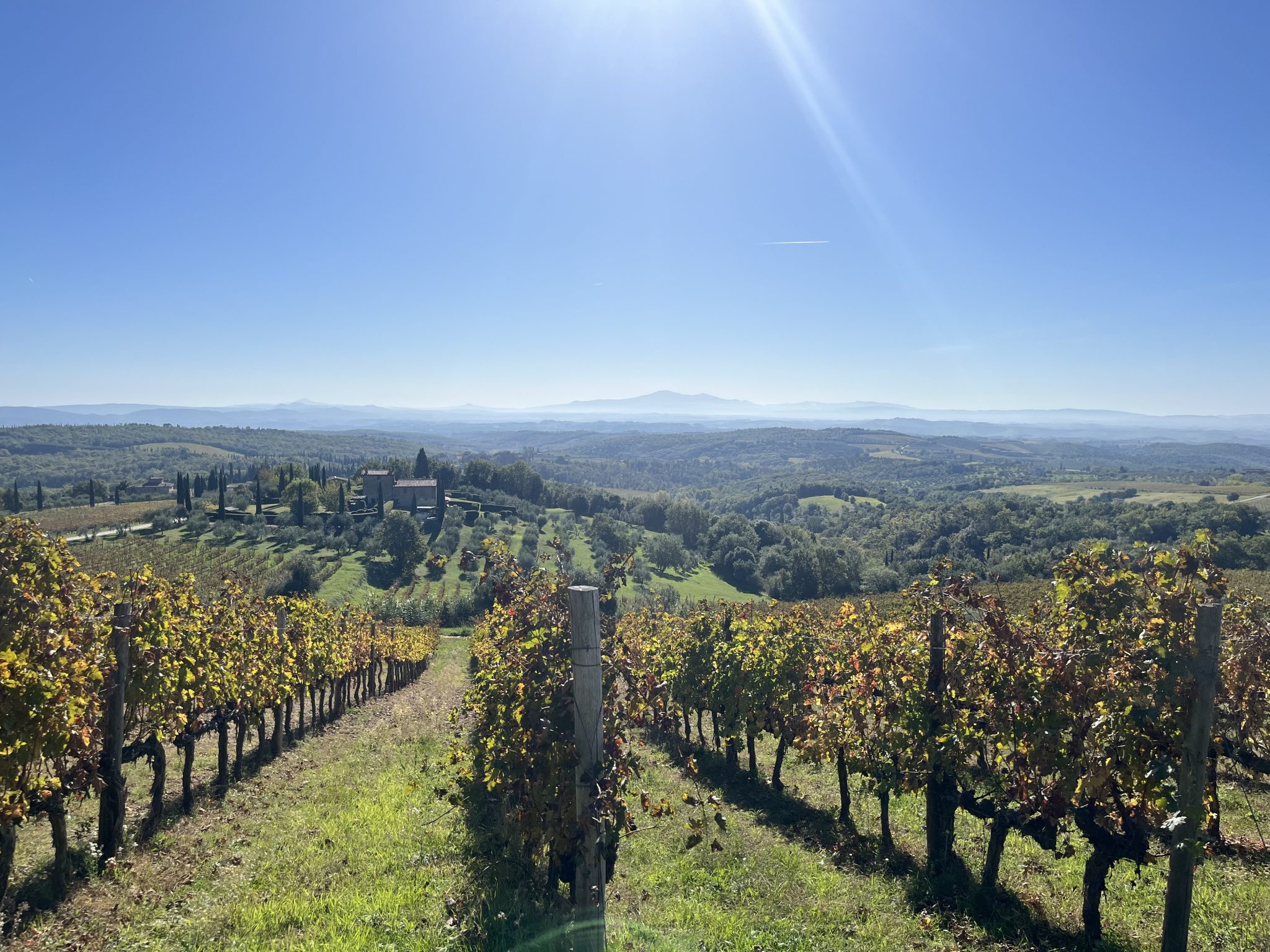 Why a top Chianti estate is embracing Cabernet Franc - The Drinks Business
