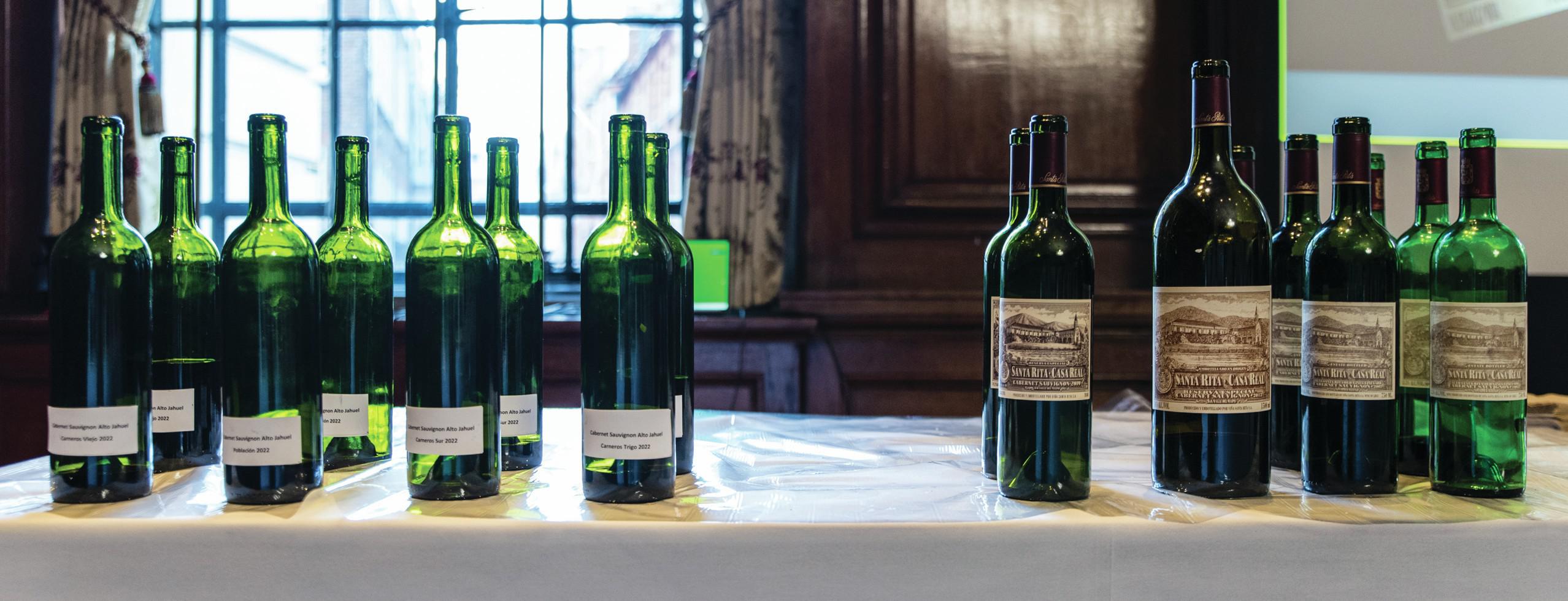 London masterclass celebrates 30 years of Chilean 'wine legend' Casa Real
