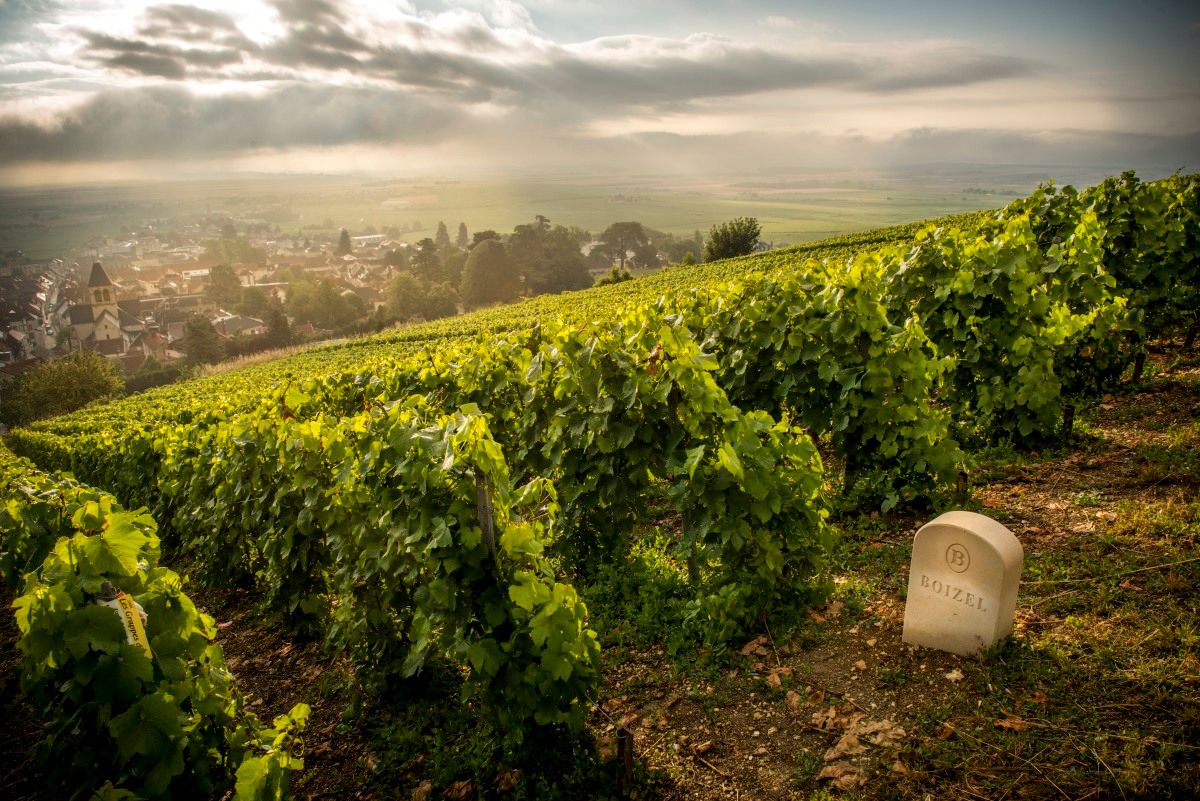 Champagne Boizel to release the ‘jewel’ in its crown on La Place - The ...