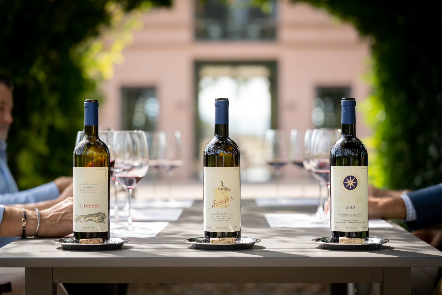 How does the Tenuta San Guido Sassicaia 2020 vintage shape up?