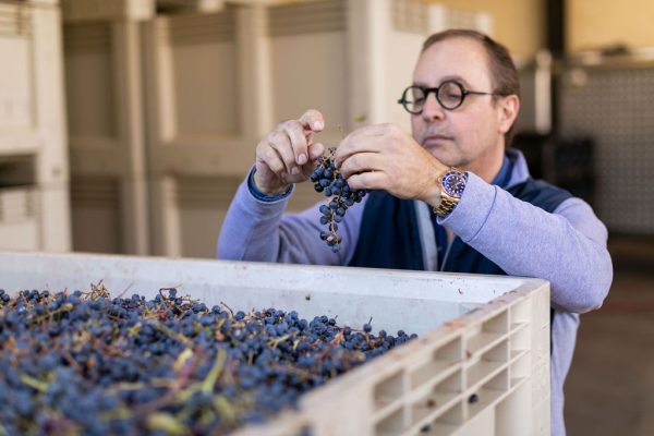Meet the maker: Daniel Daou