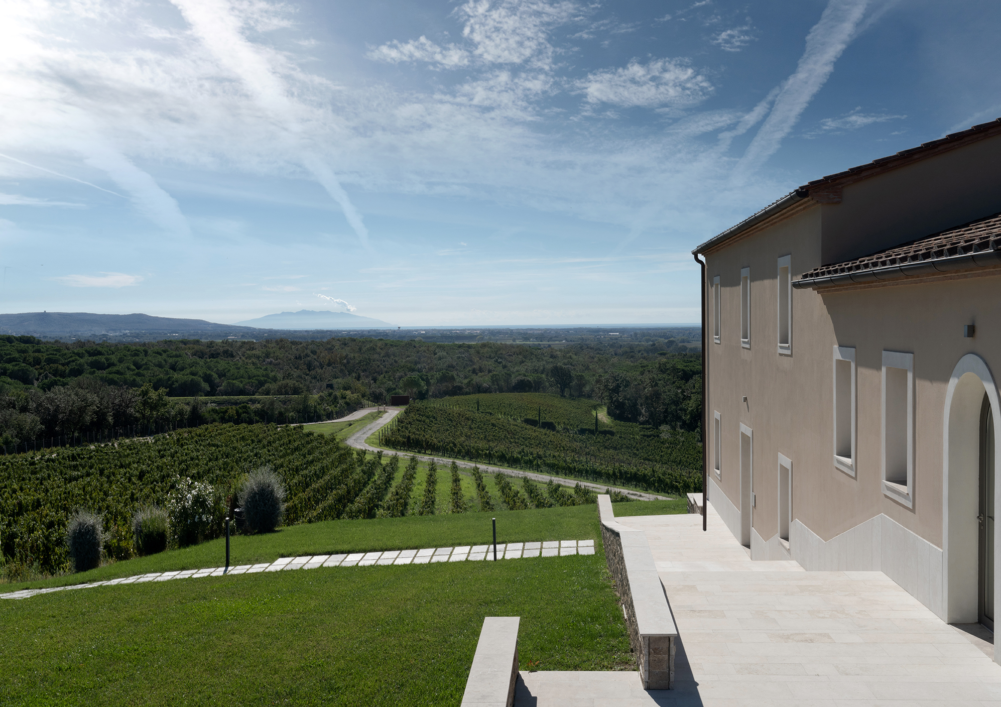 Masseto teams up with Sotheby's for Caveau release