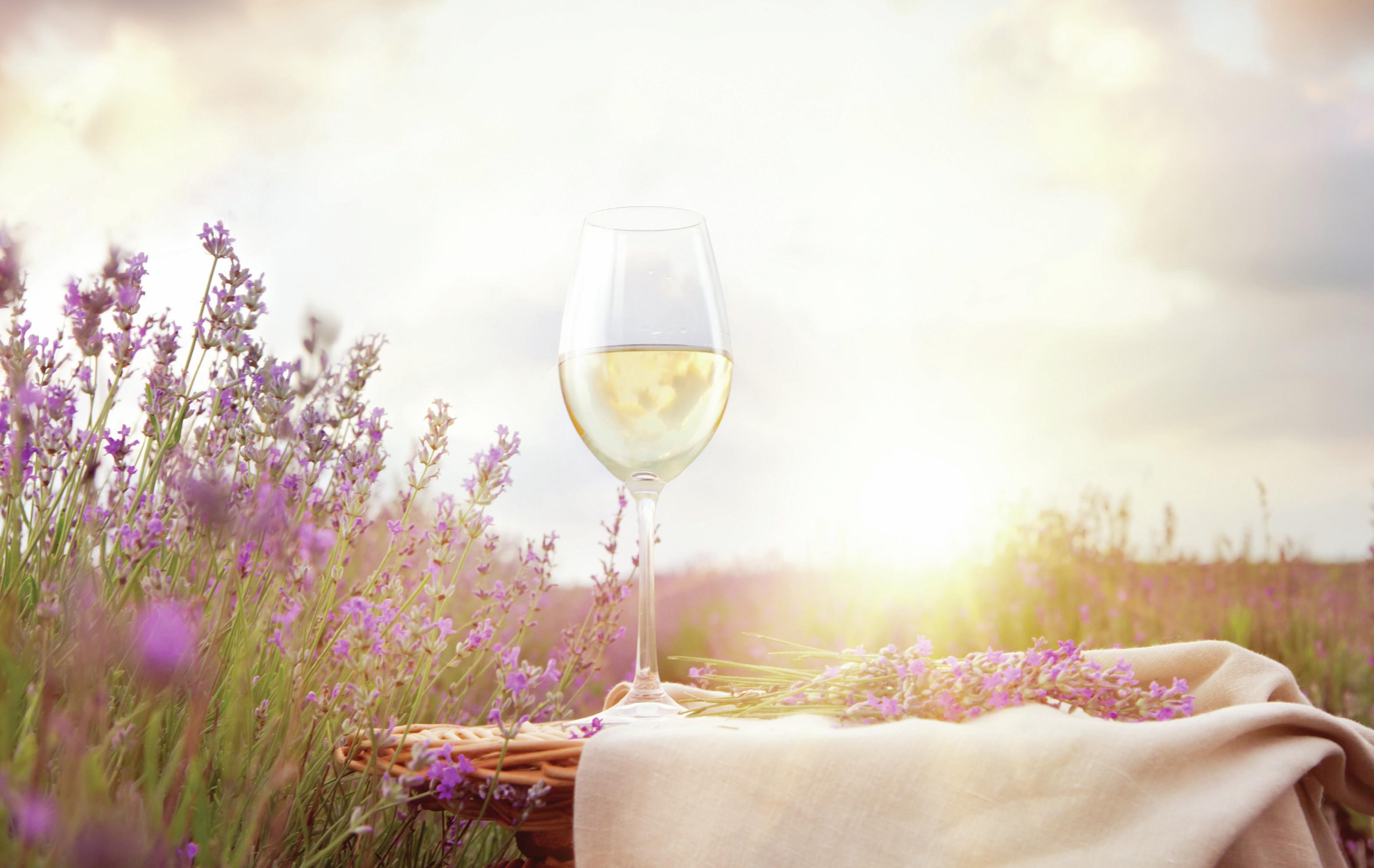 All the medal-winning wines from the Spring Tasting