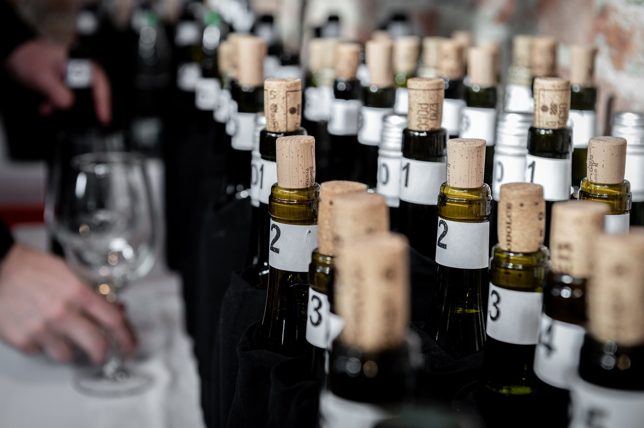 Derthona: the new-old Italian white protagonist