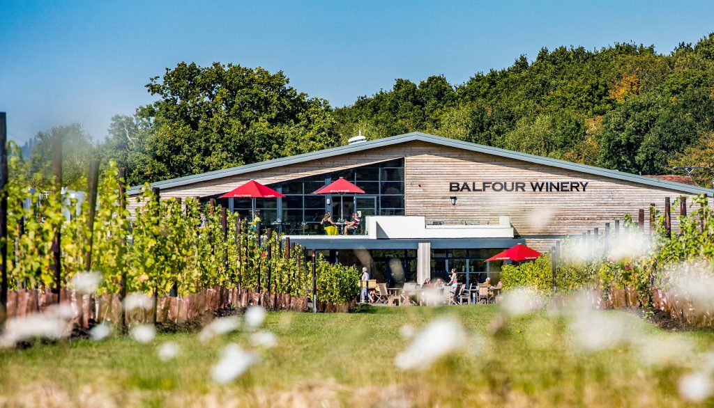 English winery Balfour to double production to one million bottles