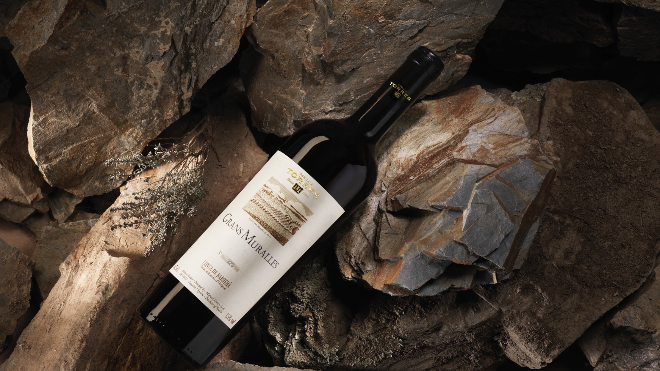 Familia Torres showcases its latest Antología Miguel Torres release