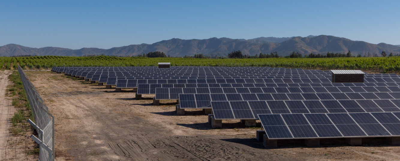 Cone Sur avanza hacia la carbono neutralidad