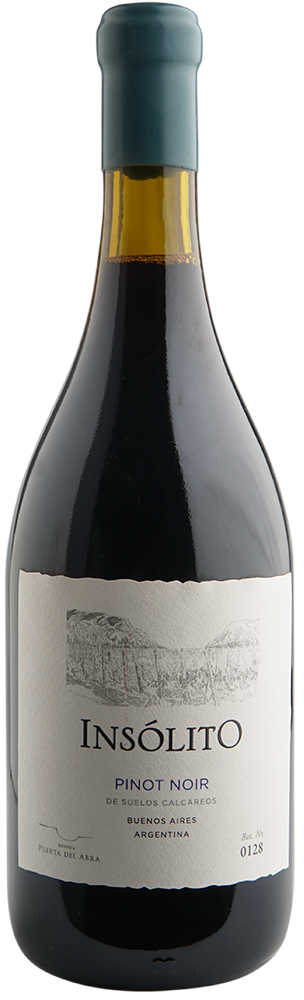 Top 32 Pinot Noirs of 2023 - The Drinks Business