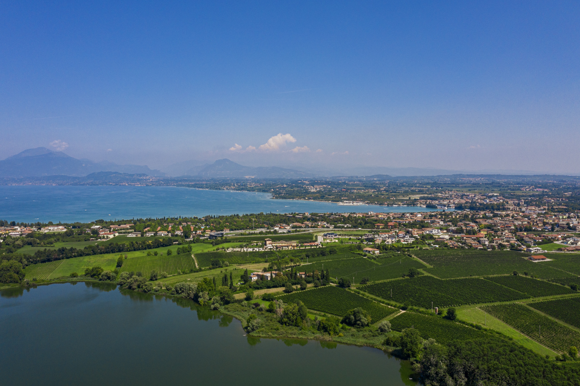 Why you should drink Lugana wines with sushi