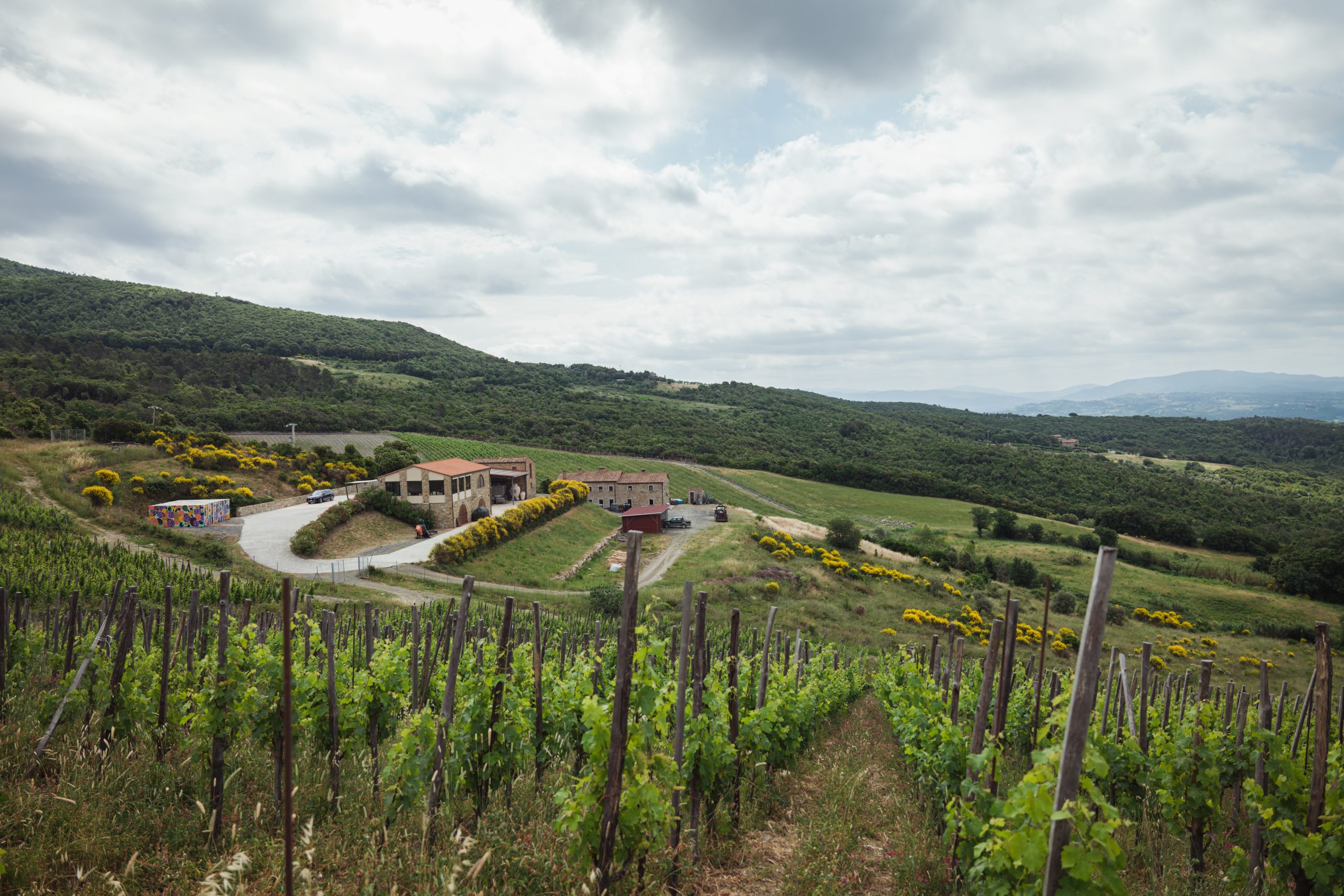 Leone Alato acquires Duemani