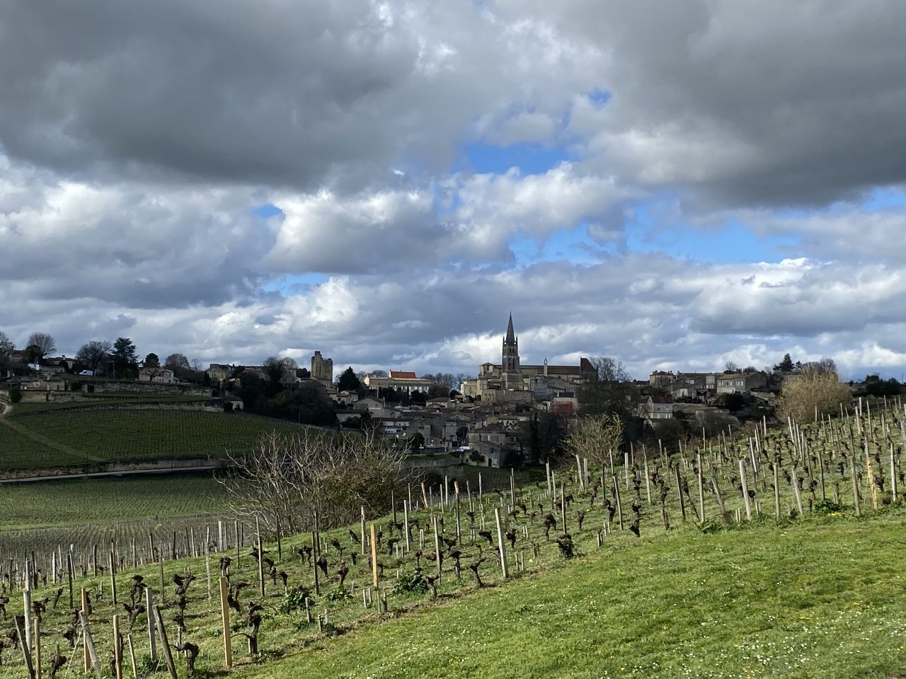 Bordeaux 2022 by appellation: Saint-Émilion, 'excellent value at every ...