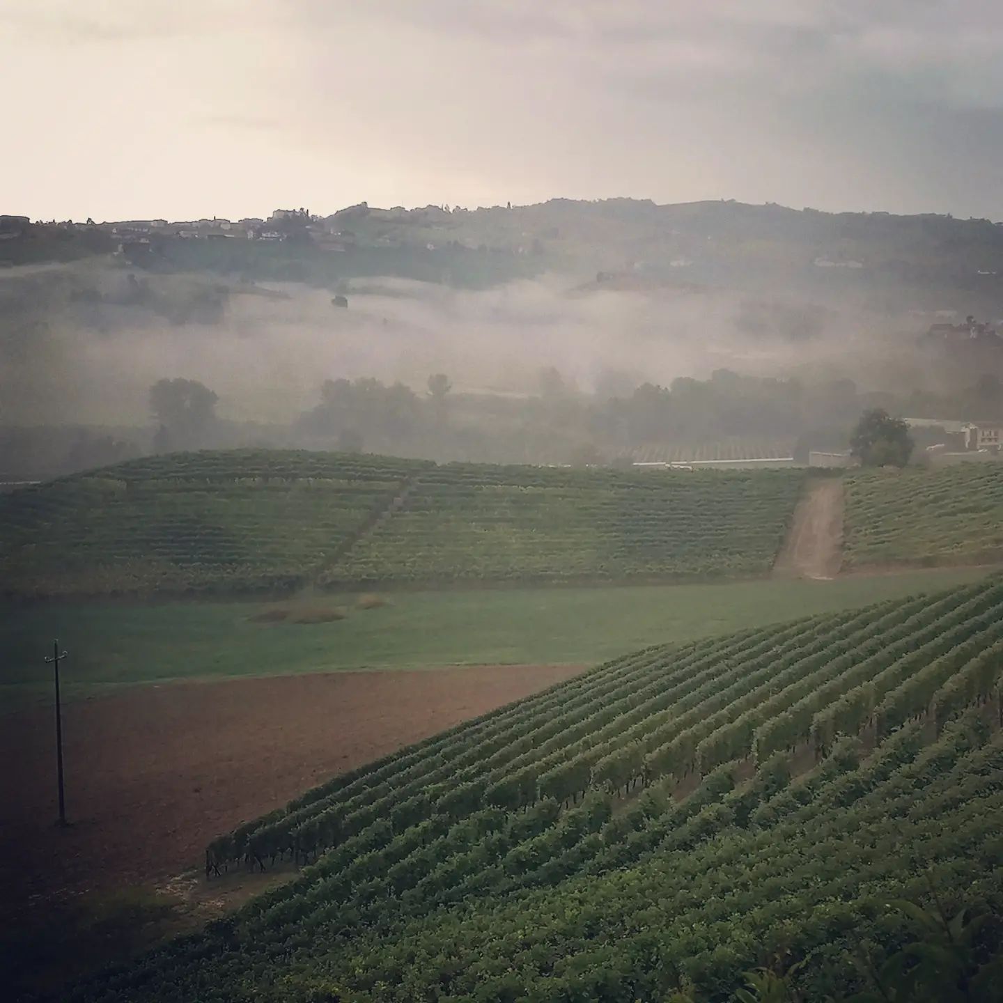 Barolo 'visionary' Ratti - a study of change and continuity
