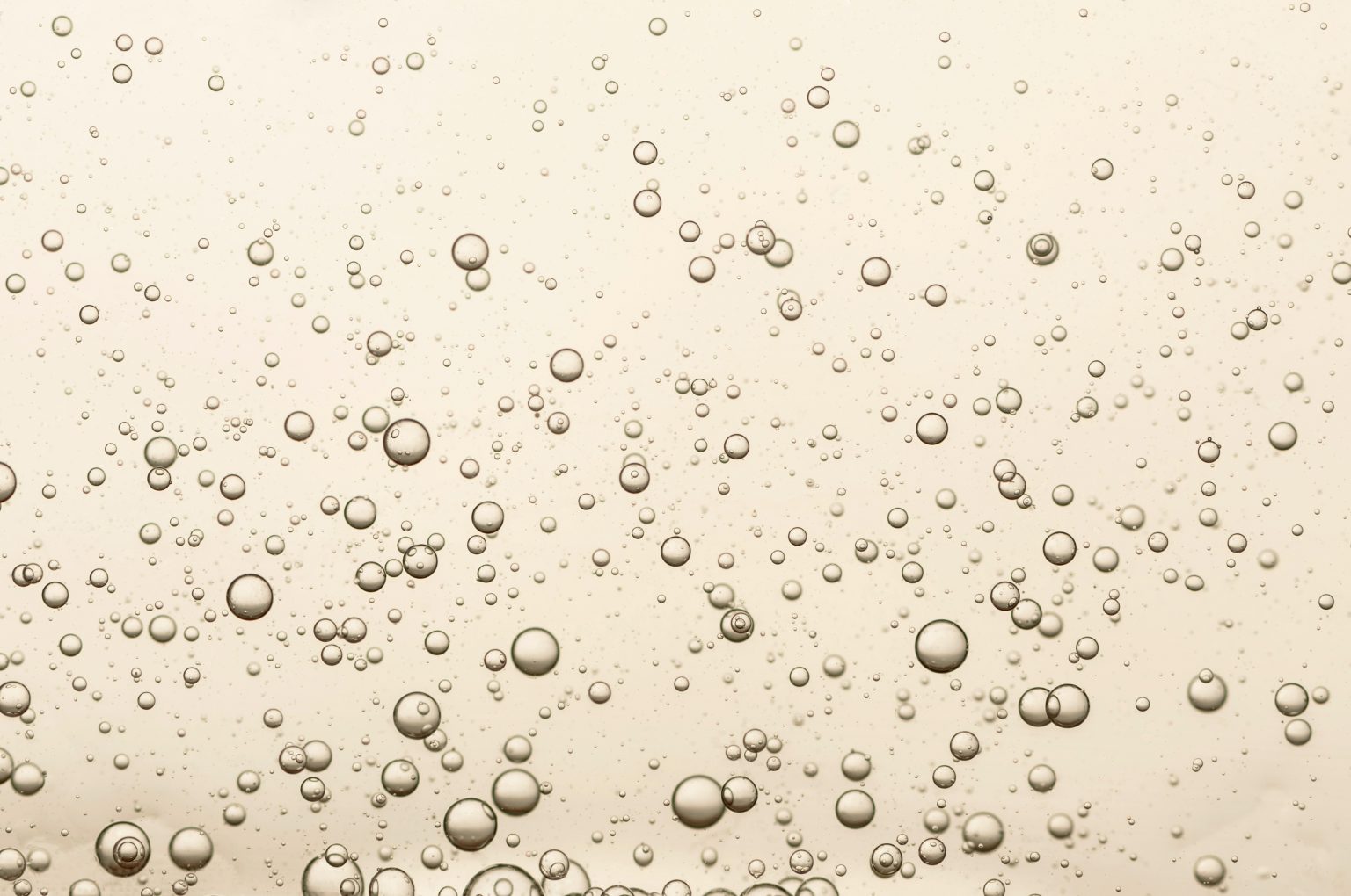 Researchers uncover the secret behind sparkling wine bubbles